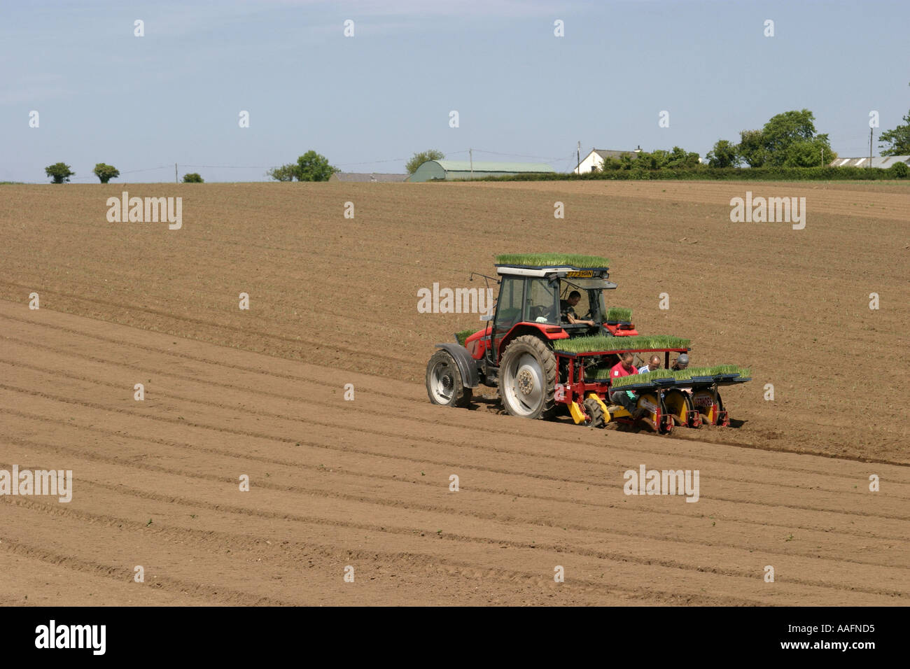 Planting crops using a tractor near newtownards county down northern ...
