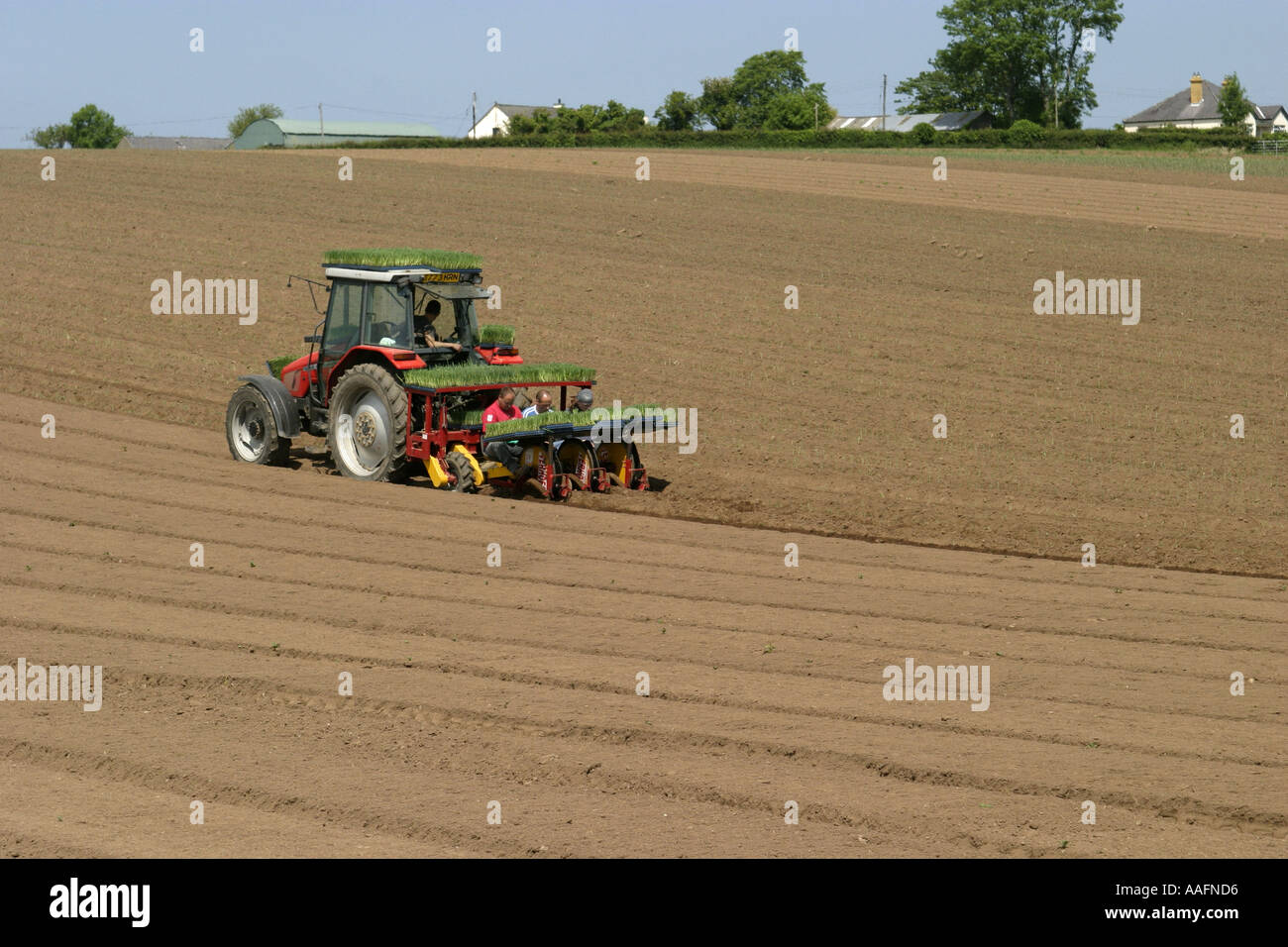 Using seed drill hi-res stock photography and images - Alamy