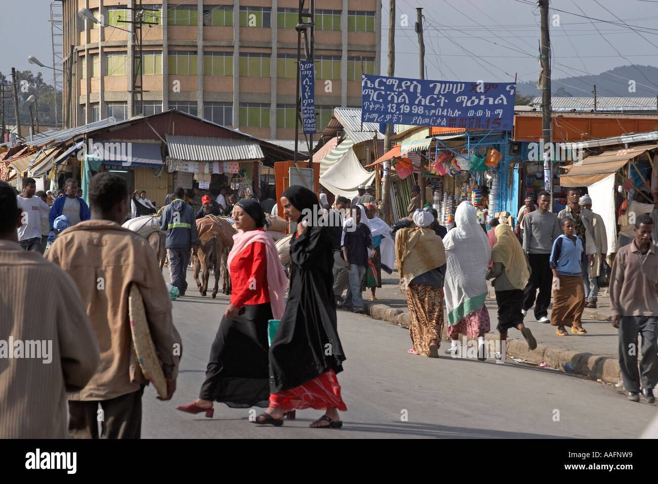 People and donkeys in Addis Ketema Merkato largest open air market in ...