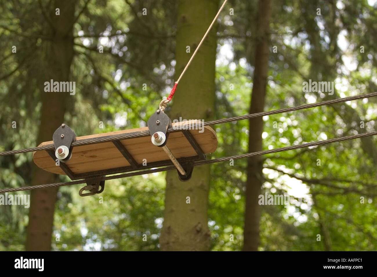 tree climbing details Stock Photo - Alamy