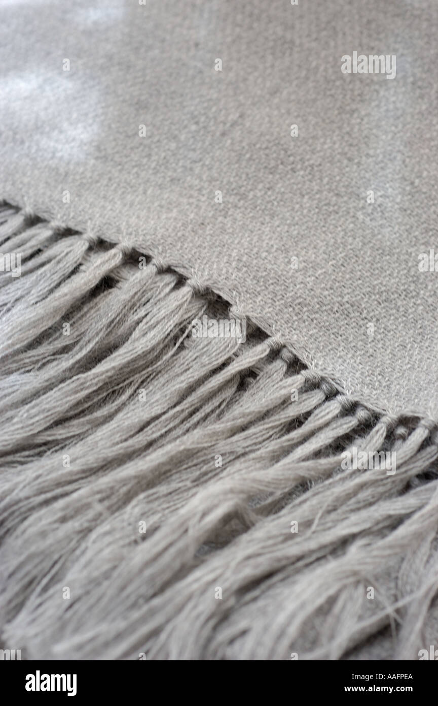 Grey alpaca hi-res stock photography and images - Alamy