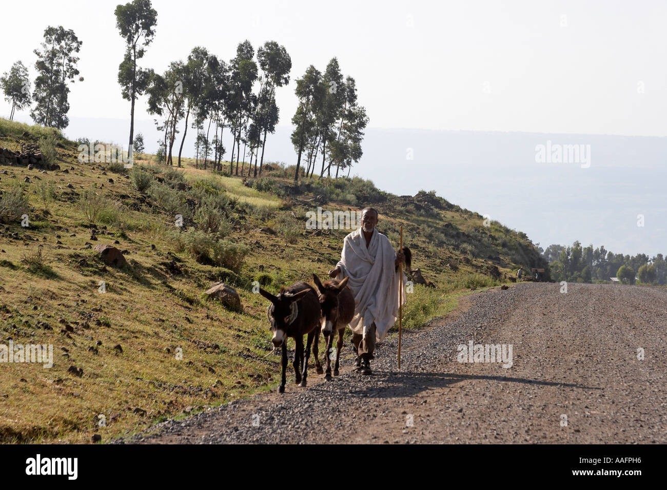 Man with woman and baby walking donkeys in mountains and hills in ...