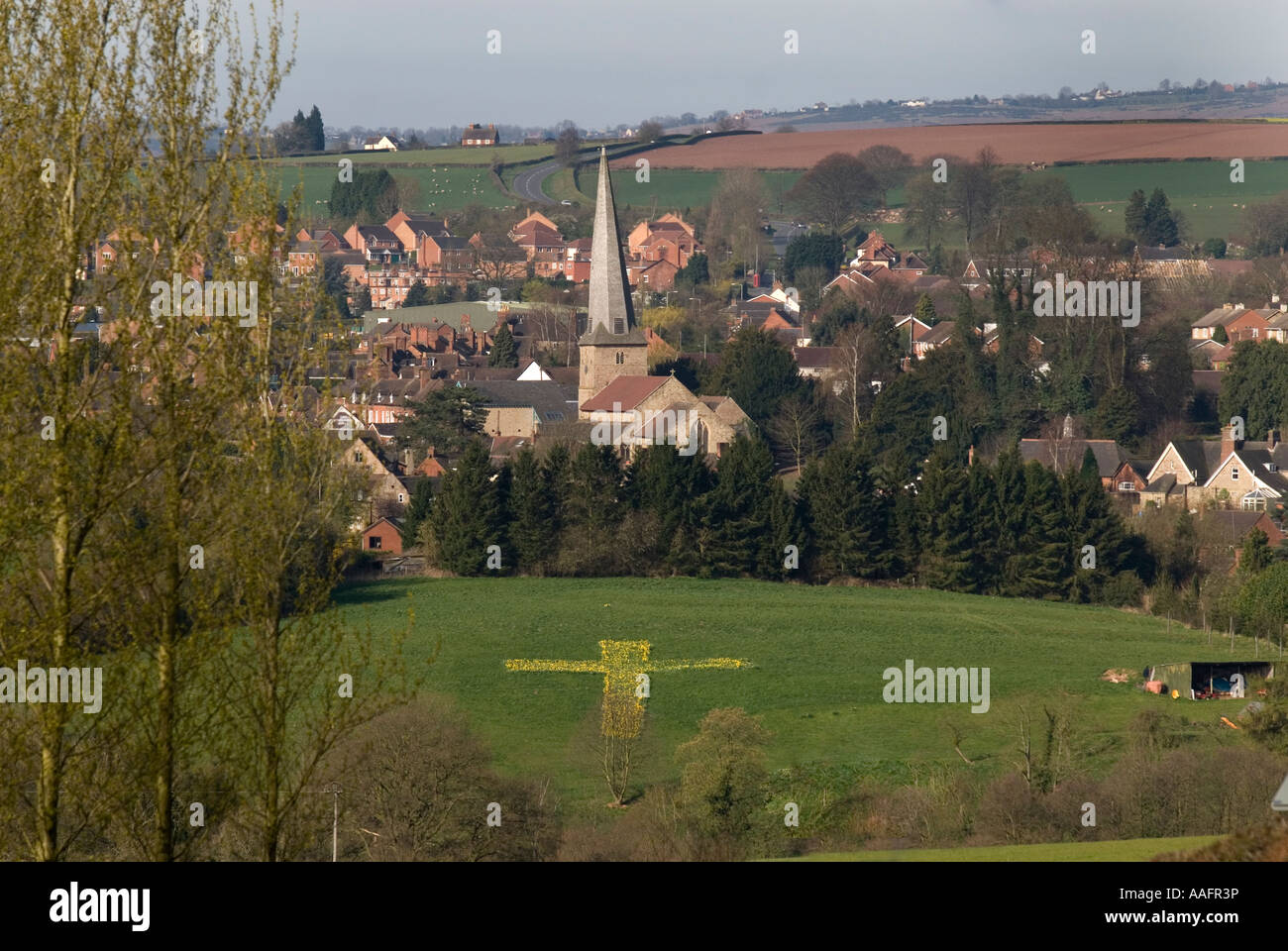 Daffodils in the shape of a cross in a field under Cleobury Mortimer ...