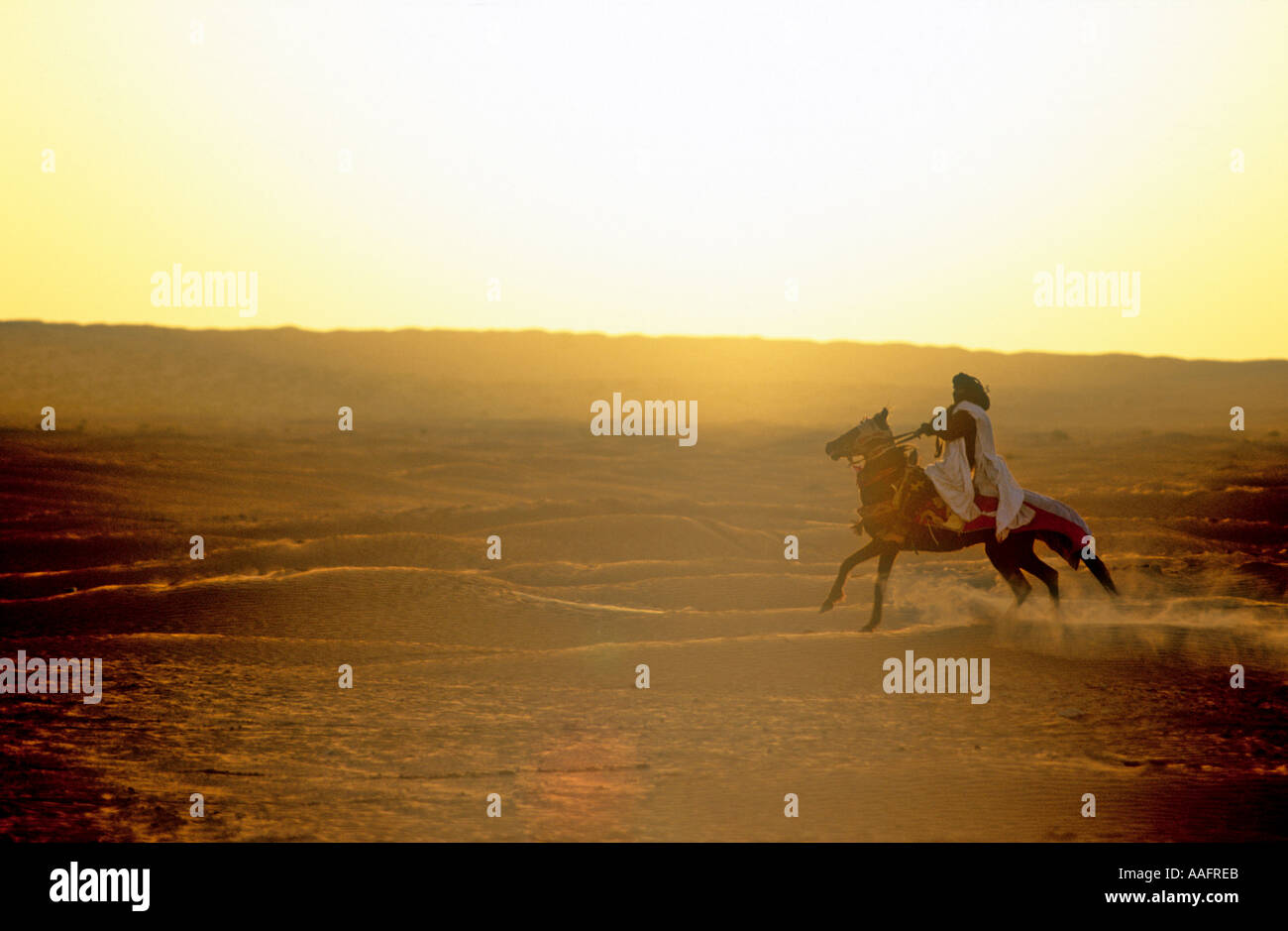 Children horse riding desert hi-res stock photography and images - Alamy