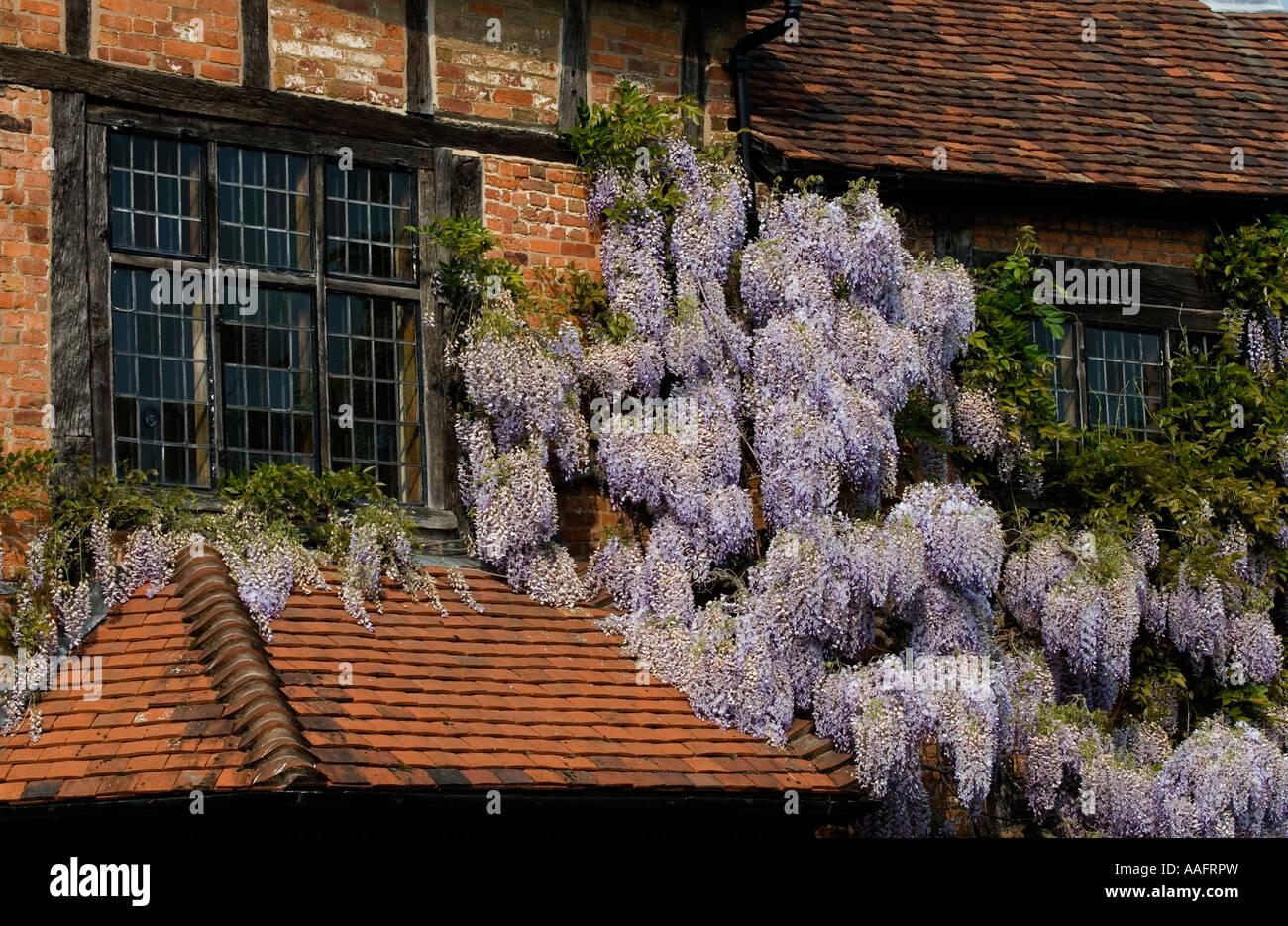 Nash s House a 16th century in structure once the home of Thomas Nash ...
