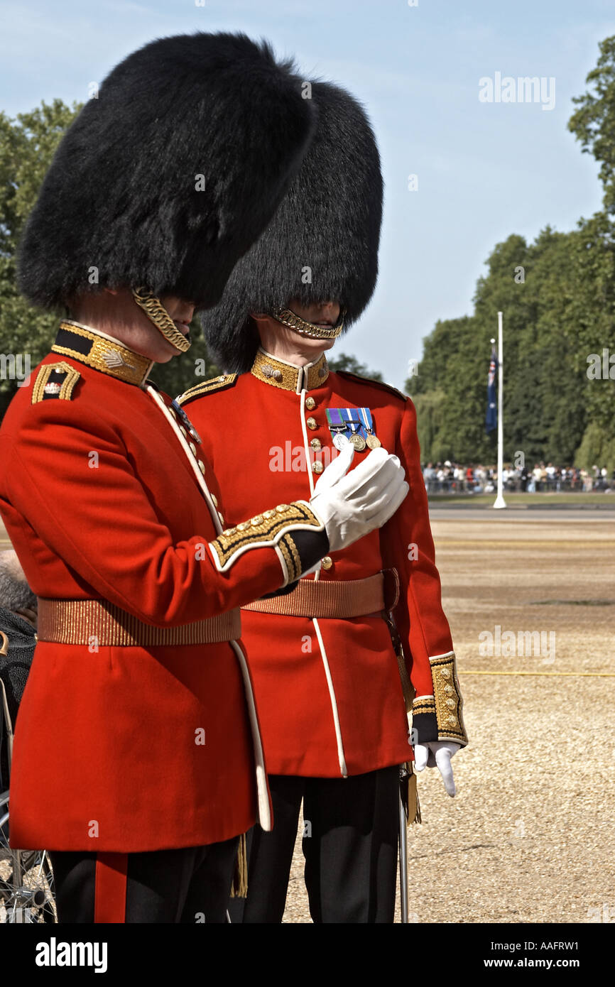 Guards officers with dress uniform and bearskins in conversation Stock ...