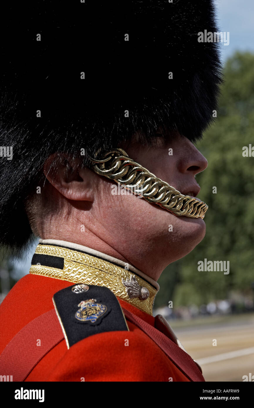 Officer of the welsh guards hi-res stock photography and images - Alamy