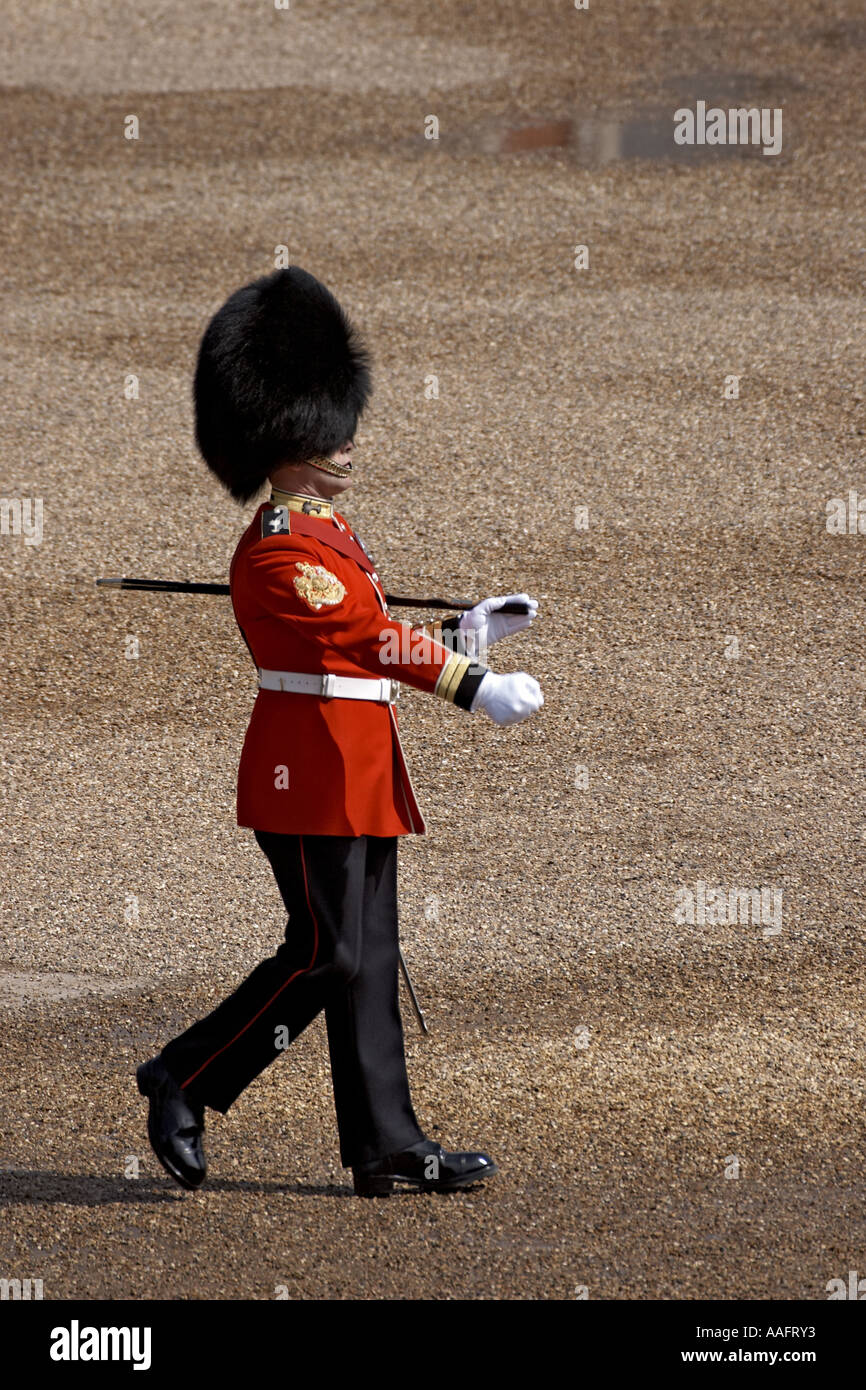Officer of the welsh guards hi-res stock photography and images - Alamy