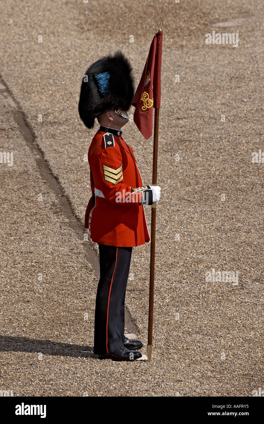 Irish Guards Sergeant marker at Her Majesty The Queen s Birthday Parade ...