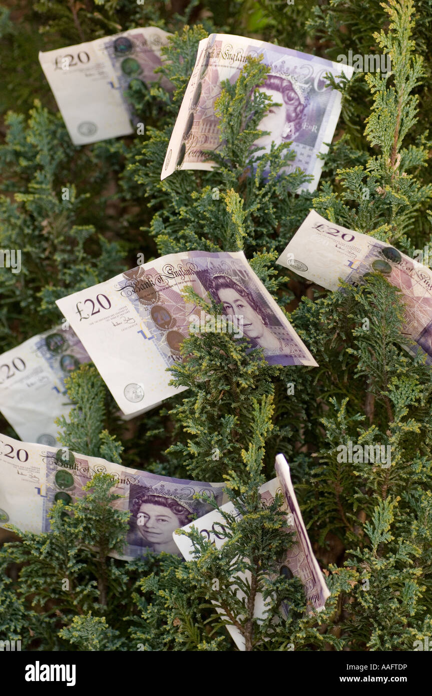 Pound sterling tree hi-res stock photography and images - Alamy