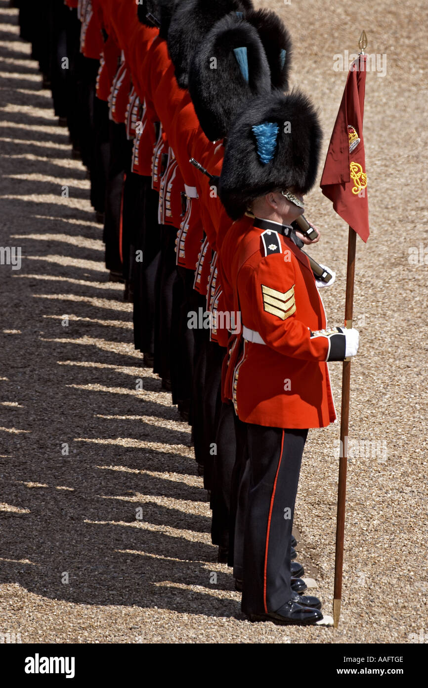 Irish Guards on parade in rank at Her Majesty The Queen s Birthday ...