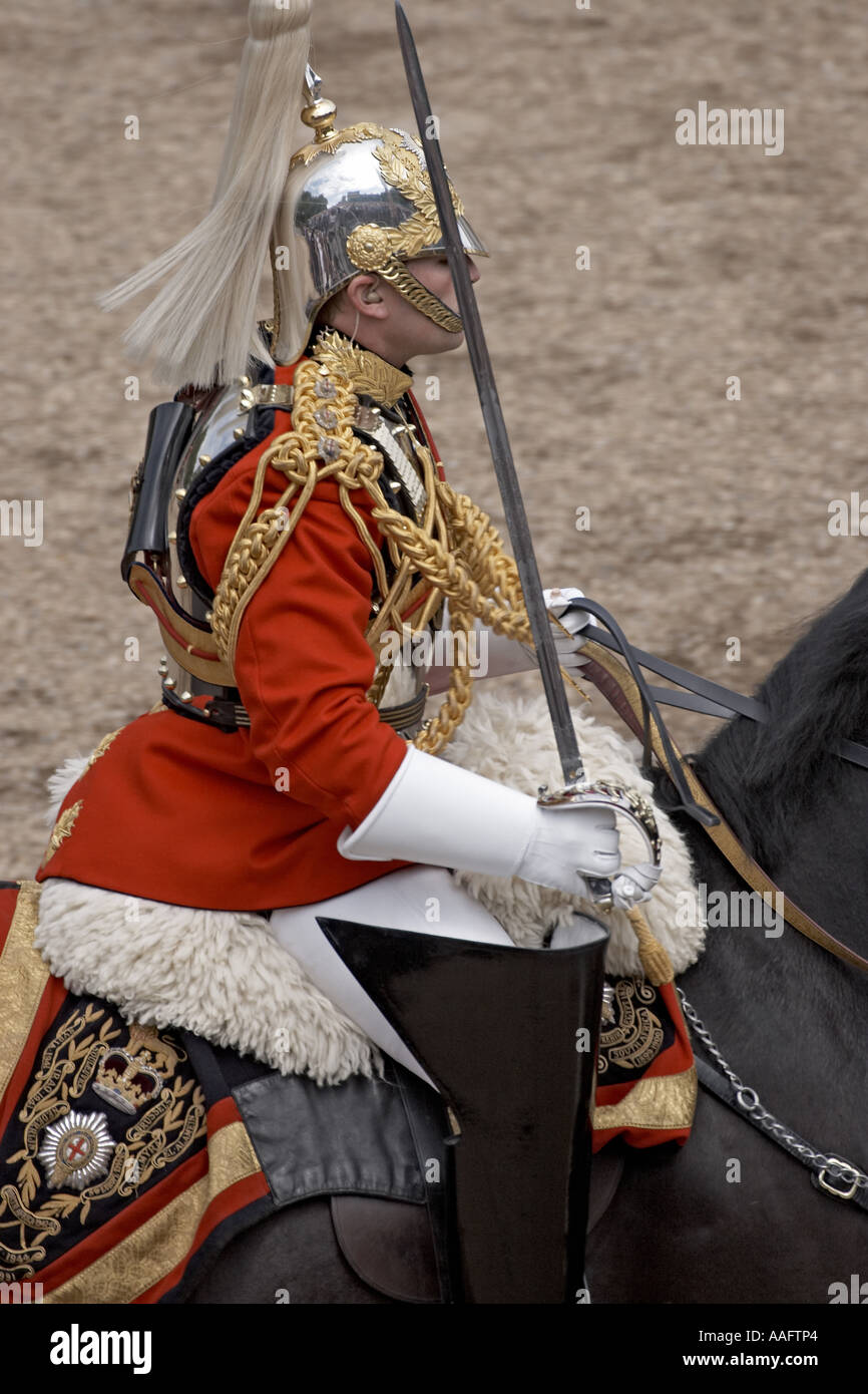 Household cavalry officer hi-res stock photography and images - Alamy
