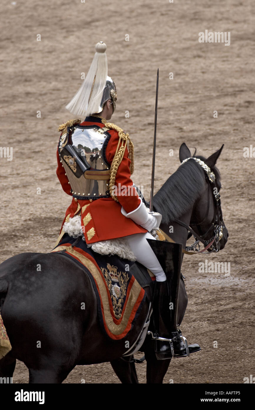 Life Guards Household Cavalry officer with sword riding on horseback at ...
