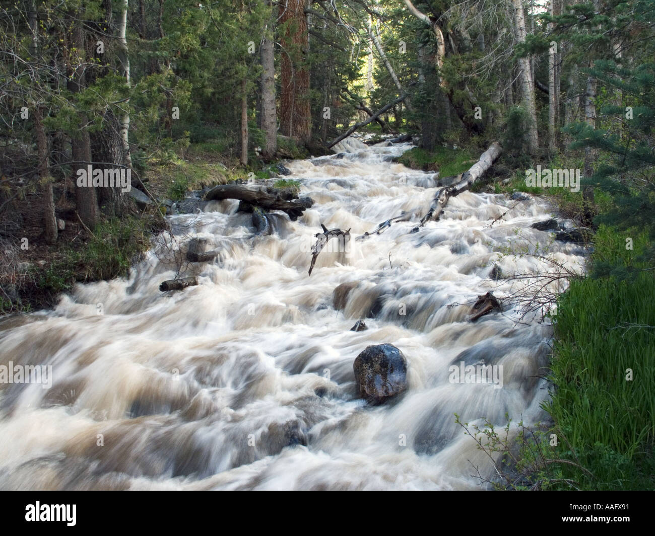 Swollen creek hi-res stock photography and images - Alamy