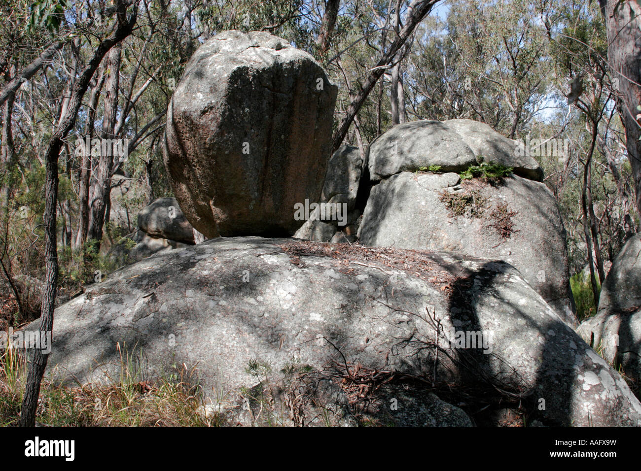 Sentimental landscape hi-res stock photography and images - Alamy