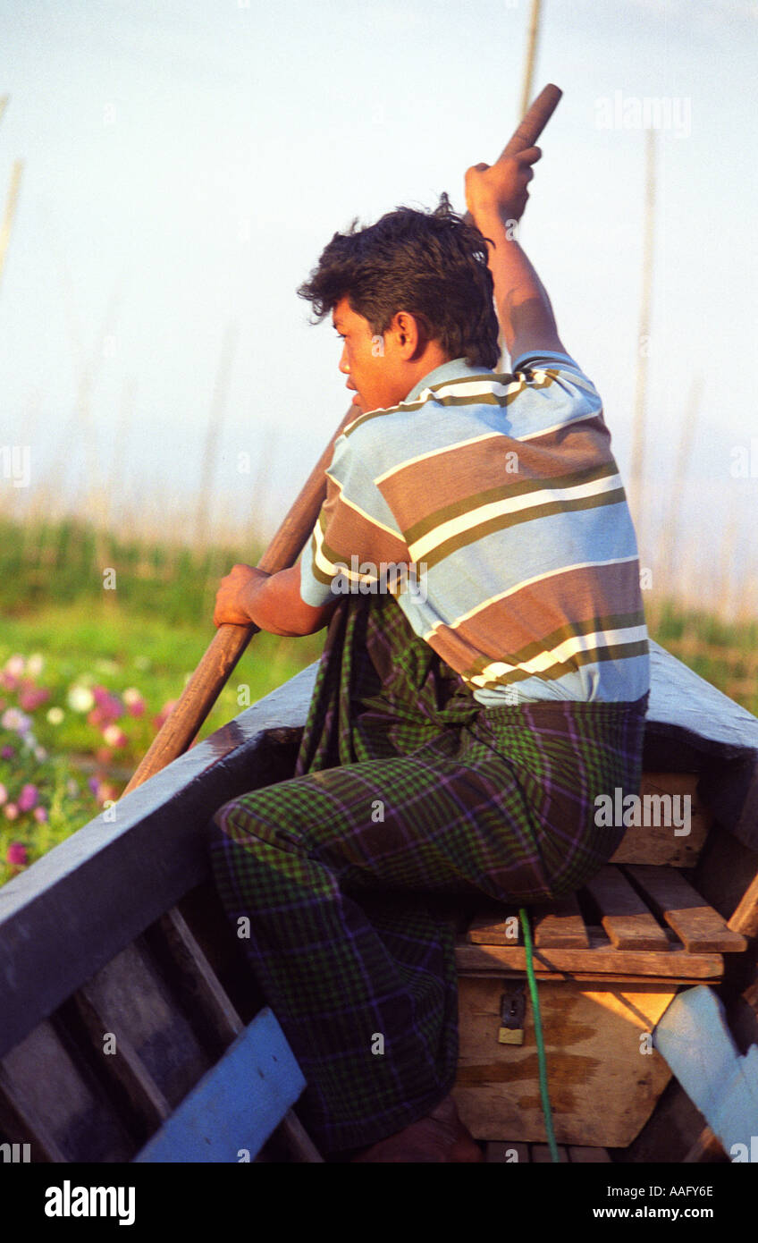 Water Hyacinths Floating Garden Inle Lake Myanmar Burma Stock Photo - Alamy