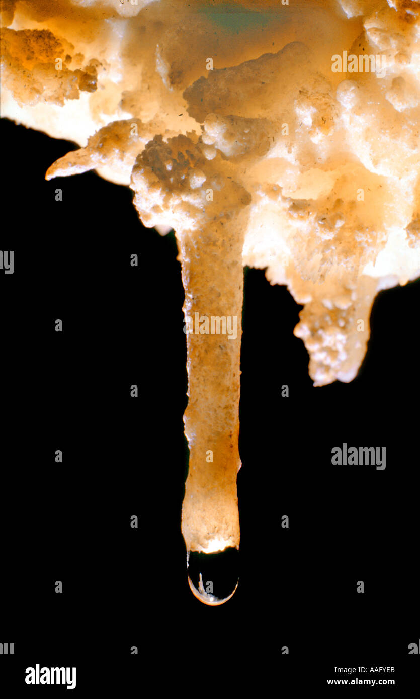 Soda straw stalactite hi-res stock photography and images - Alamy