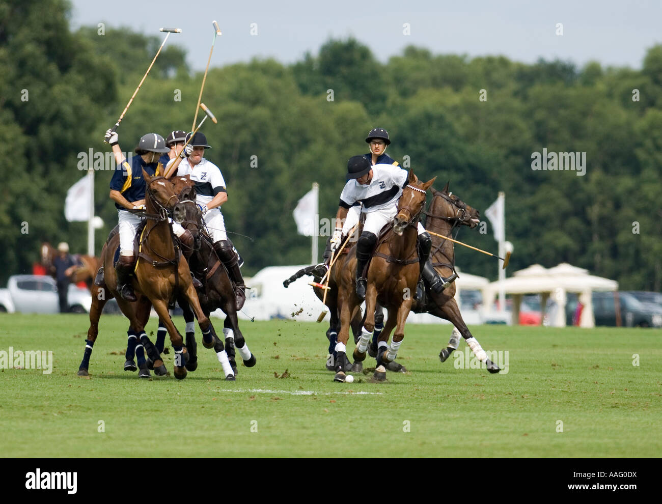 Polo game hi-res stock photography and images - Alamy
