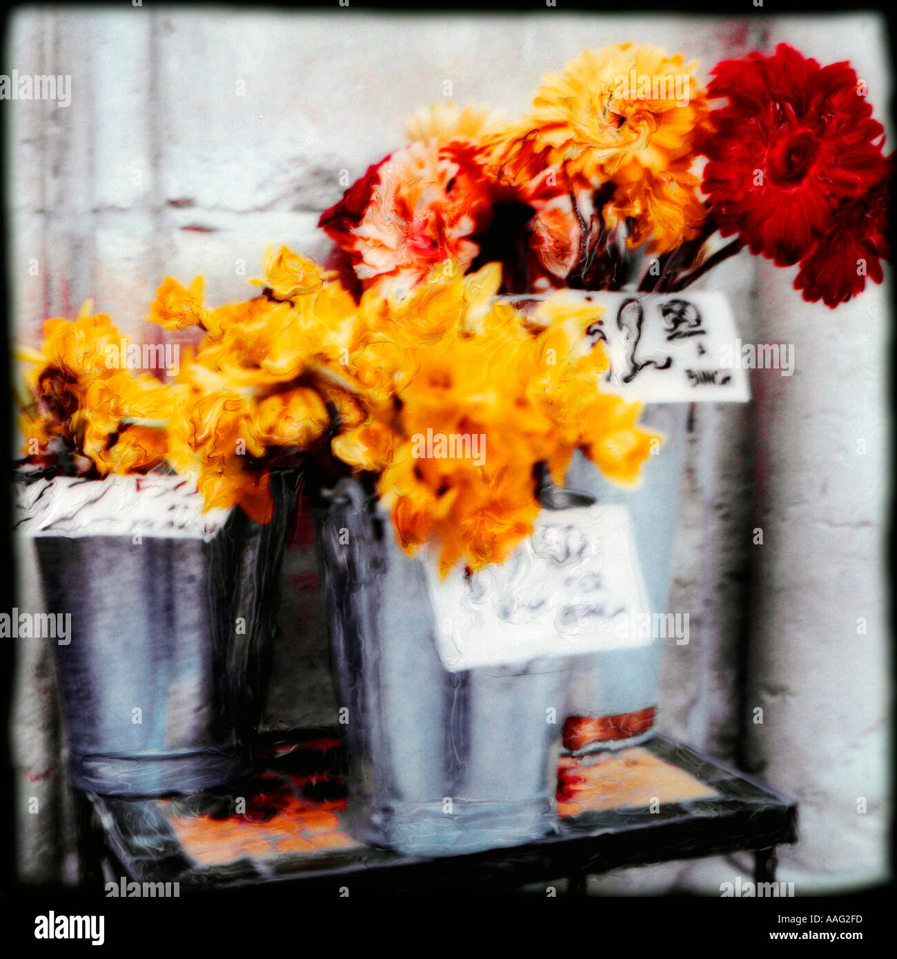Polaroid Manipulation of a Flowerstand Stock Photo - Alamy