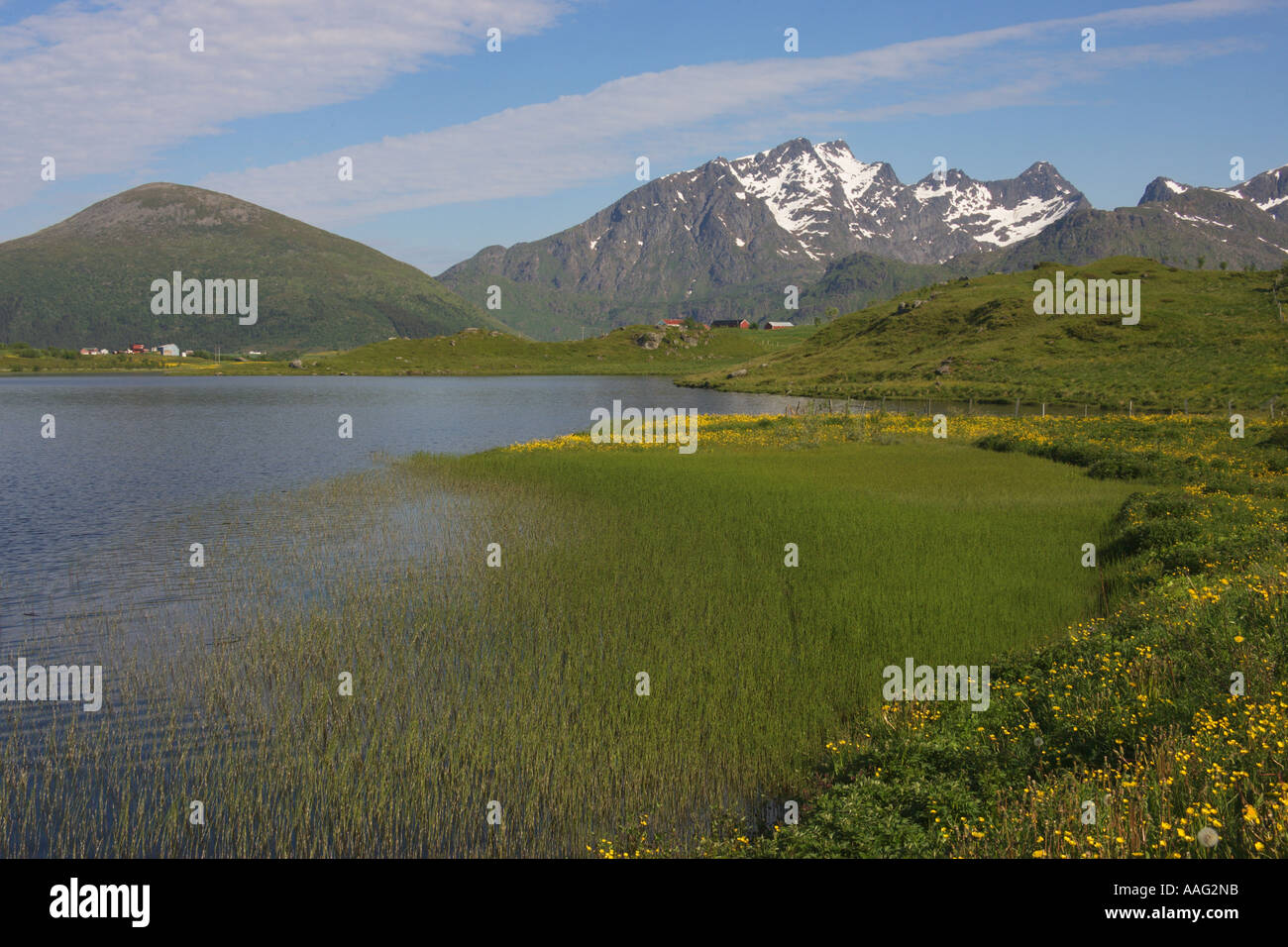 Lake with farms and mountain scenery Lofoten Islands Stock Photo - Alamy