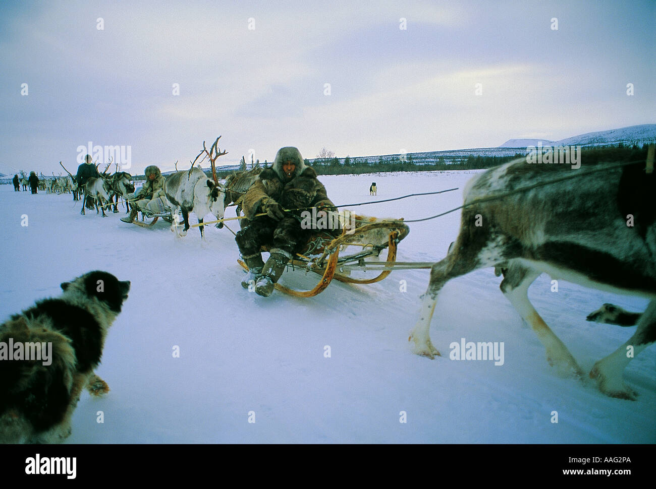 Evenk hi-res stock photography and images - Alamy