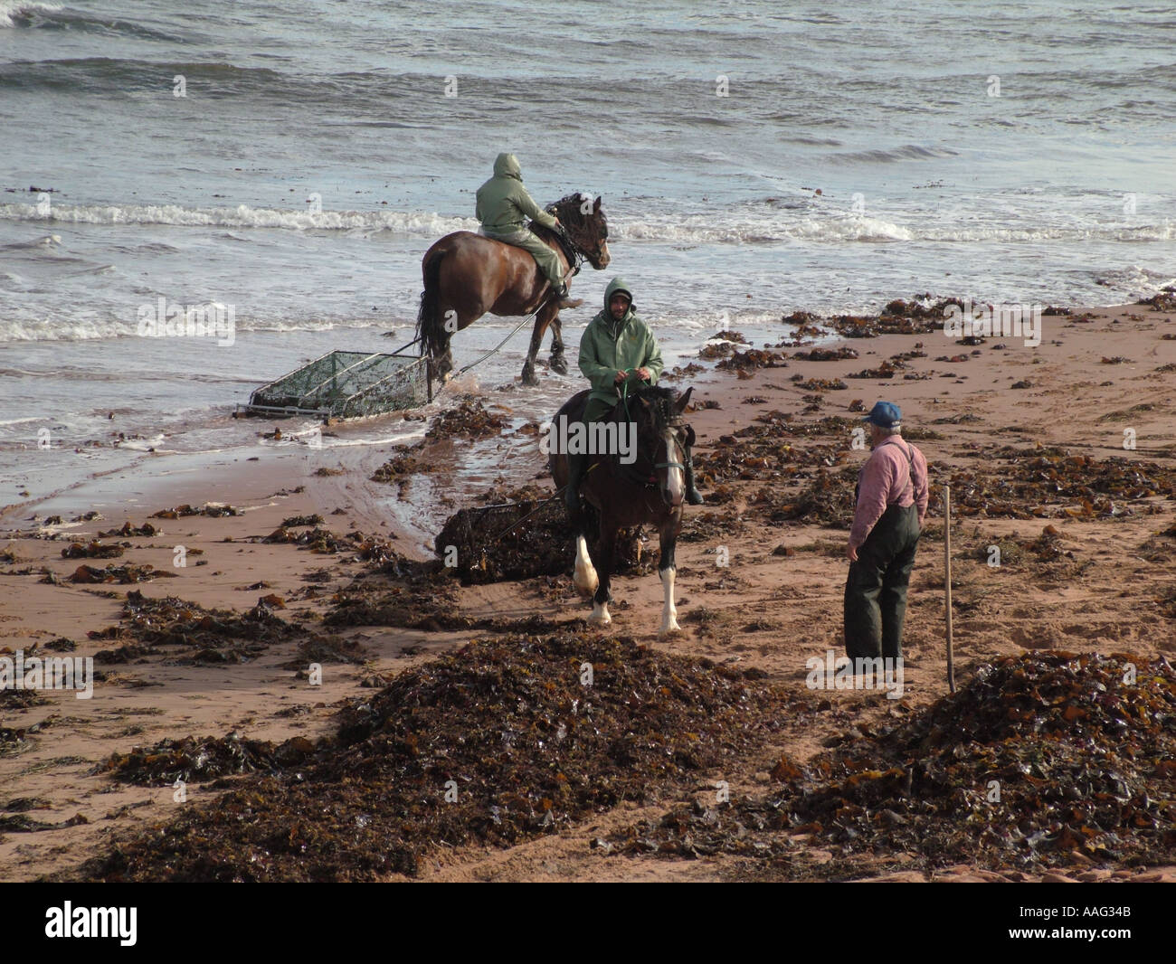 AJD37834, Prince Edward Island, Gulf Saint Lawrence, Cavendish Beach ...