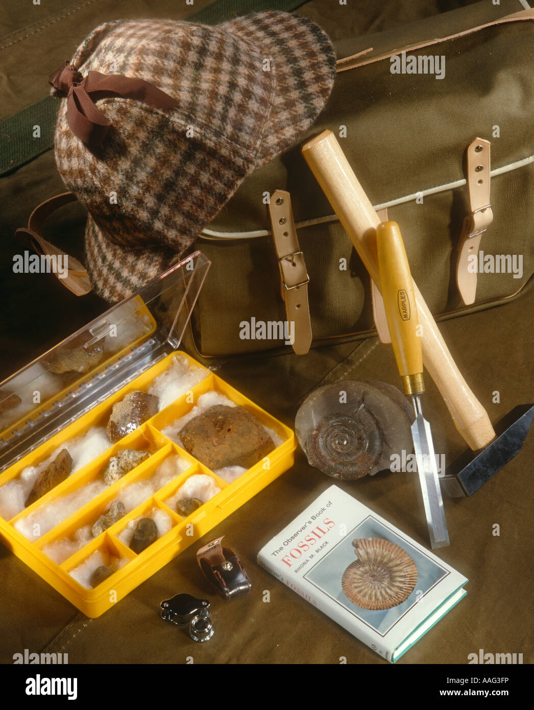 Collecting rocks hi-res stock photography and images - Alamy