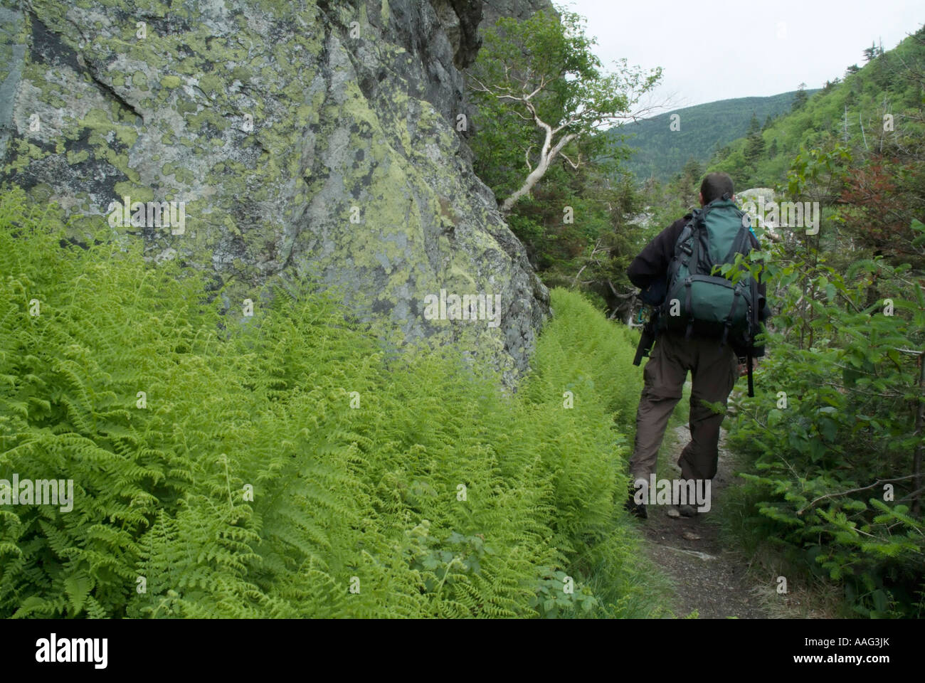 A Hiker passes a section of Eagle Pass on Greenleaf Trail in the White ...