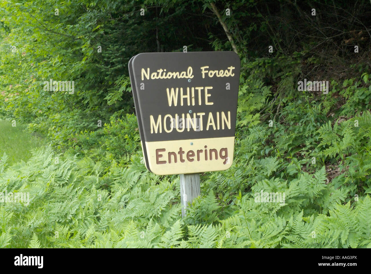 White Mountain National Forest sign in New Hampshire USA Stock Photo ...