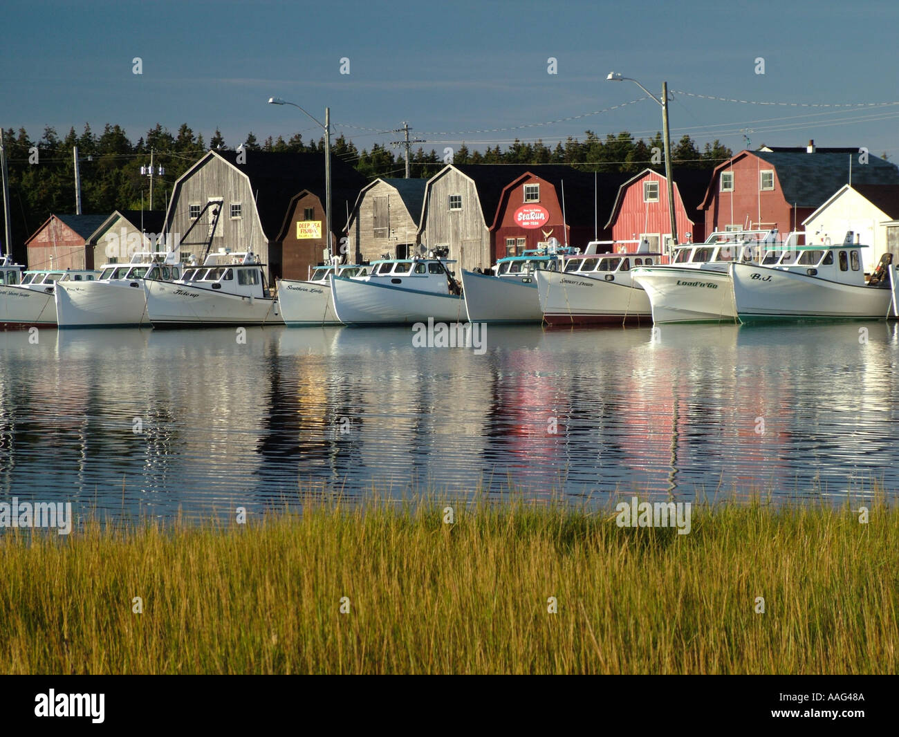 Malpeque bay hi-res stock photography and images - Alamy
