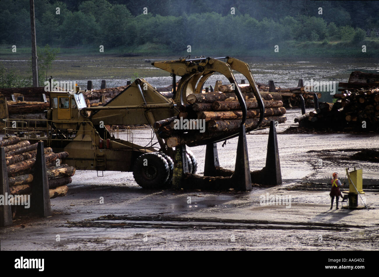 Mechanised log handling Vancouver Island BC Canada Stock Photo - Alamy