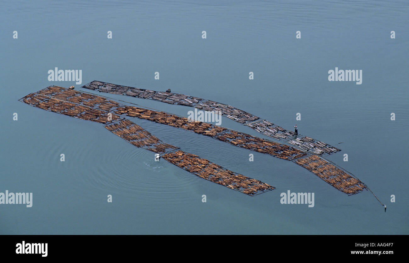 Log sorting hi-res stock photography and images - Alamy