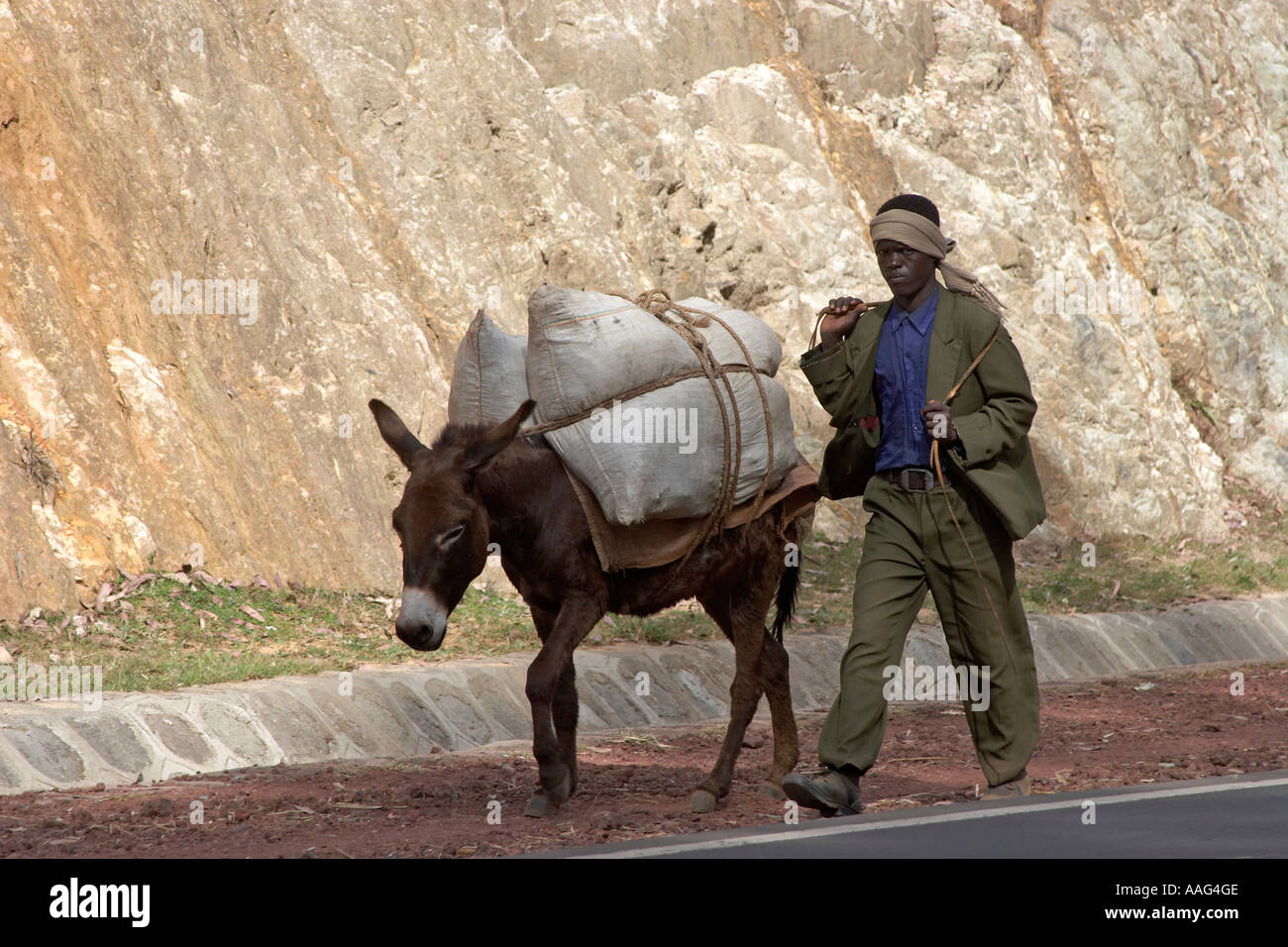 Donkey working laden with sacks and owner on the road from Addis Ababa ...