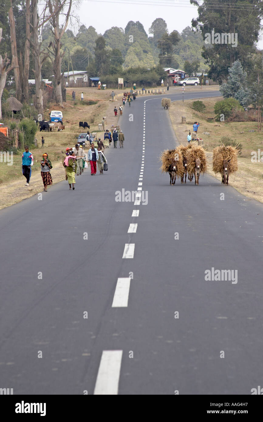 People and donkeys on the road from Addis Ababa to Shafartak bridge ...