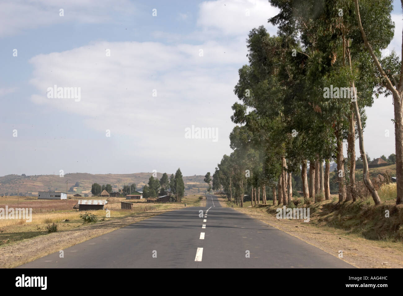 Trees and hills on the road from Addis Ababa to Shafartak bridge ...