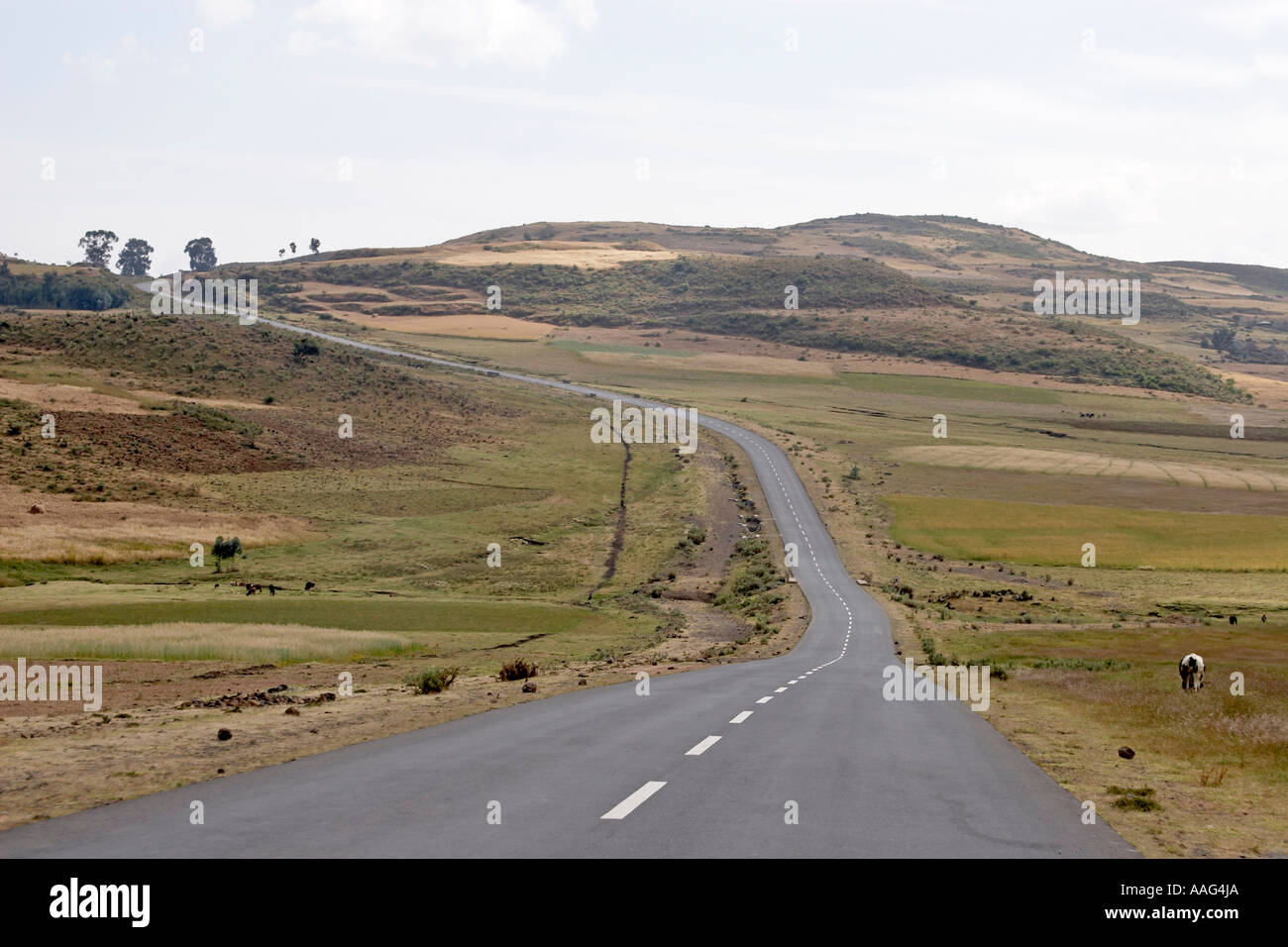 Road receding into the distance through hills from Addis Ababa to ...