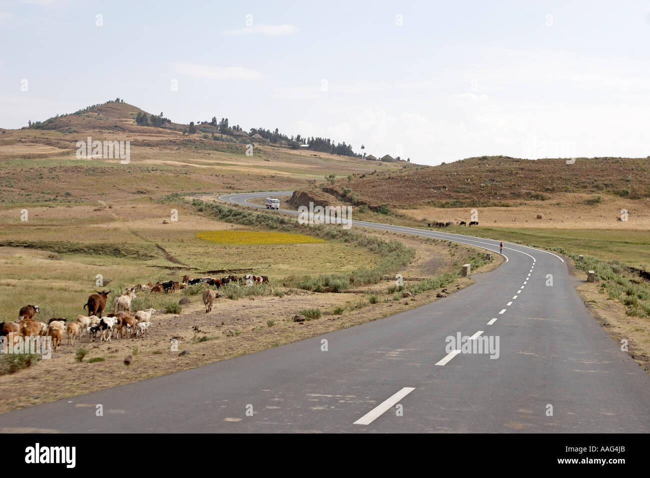 Road receding into the distance through hills from Addis Ababa Stock ...