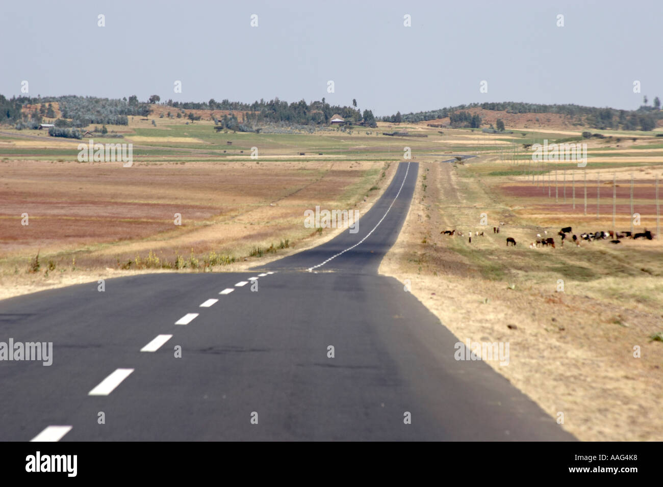 Road receding into the distance through hills from Addis Ababa Stock ...