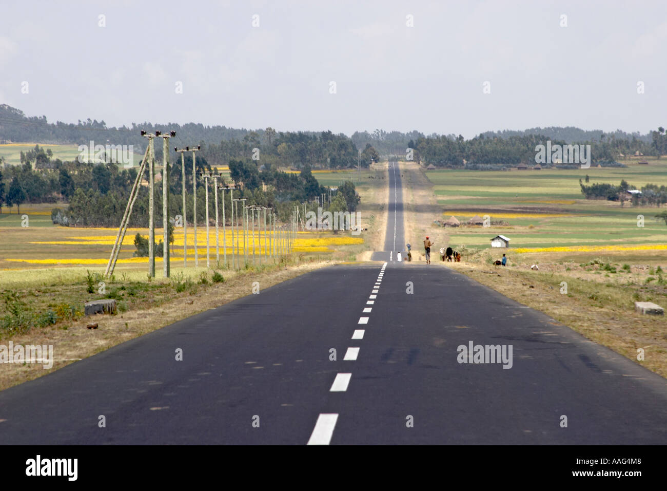 Road receding into the disance from Addis Ababa to Shafartak bridge ...