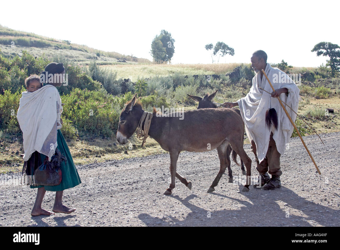 Man with woman and baby walking donkeys in mountains and hills in ...