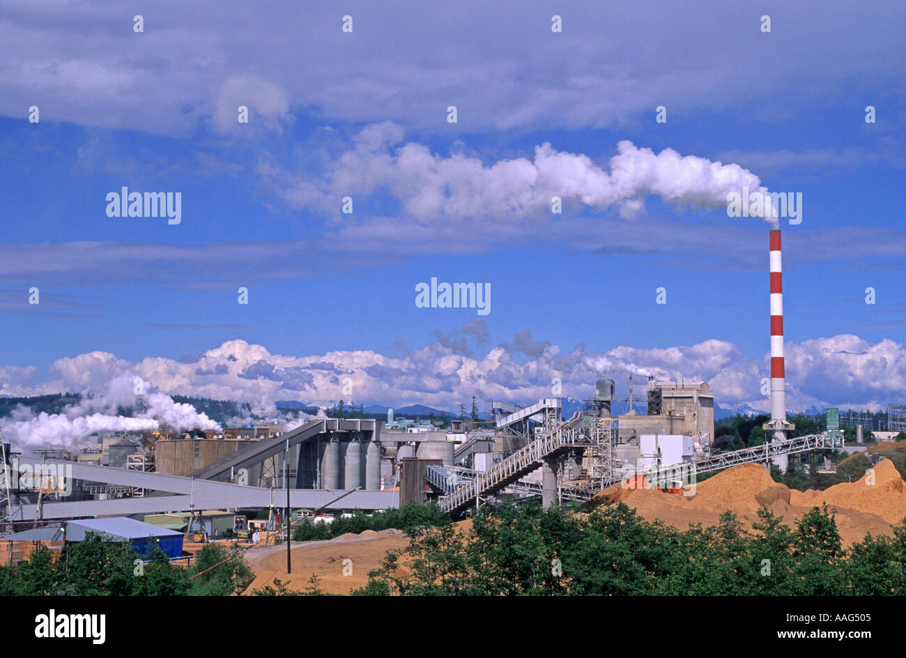 Elk Falls pulp mill Vancouver Island BC Canada Stock Photo - Alamy