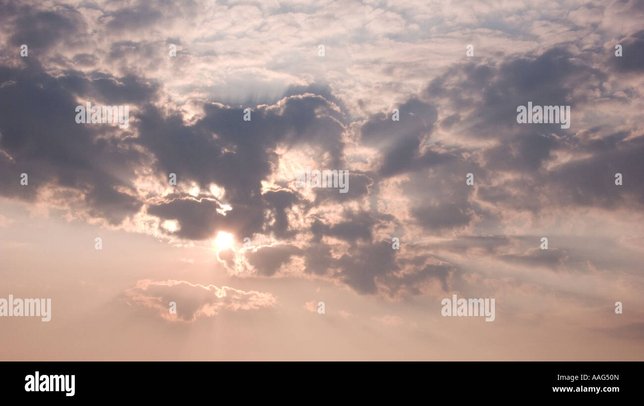 Early Summer evening sunset Stock Photo - Alamy
