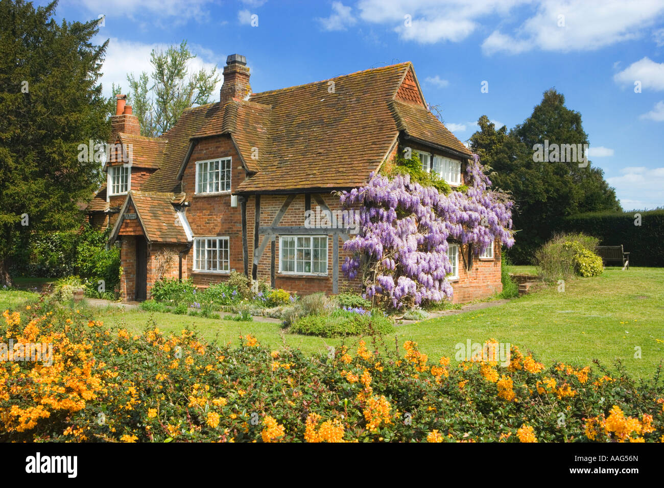 Cottage with wisteria, Surrey ,UK Stock Photo - Alamy