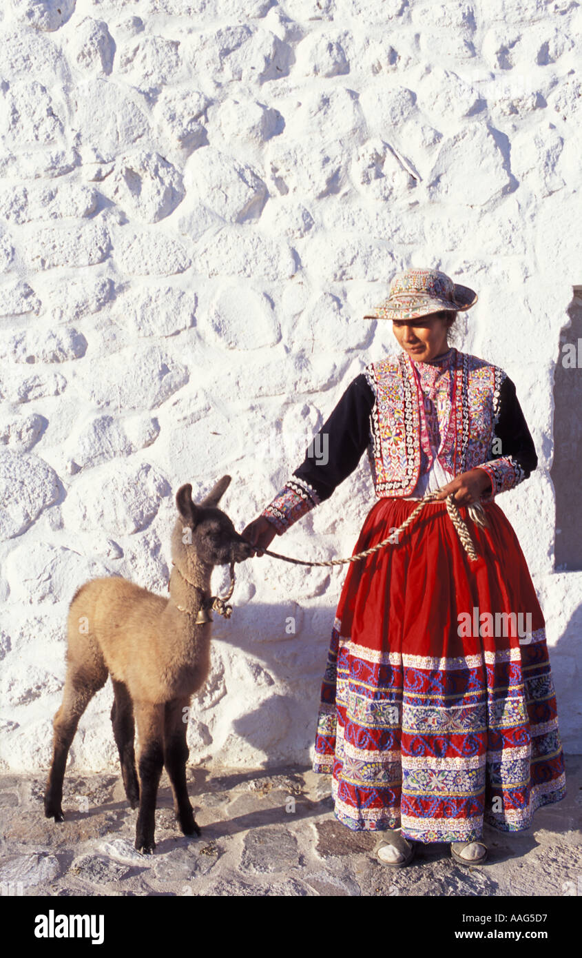 Quechua woman with 12 day old llama in tribal costume at Maca village ...