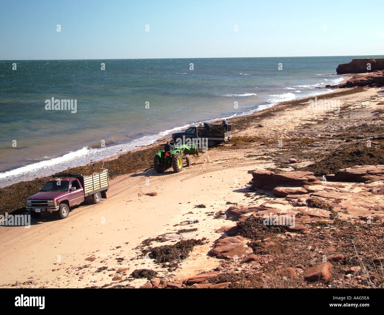 AJD37998, Prince Edward Island, Canada, Queens County, Gulf Saint ...