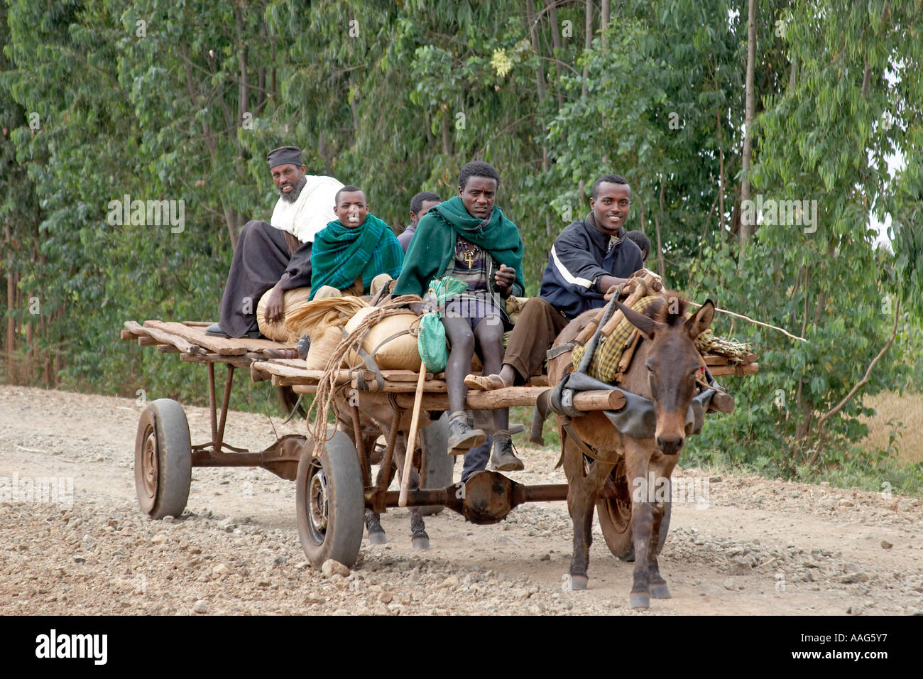 Donkey cart on dirt track hi-res stock photography and images - Alamy