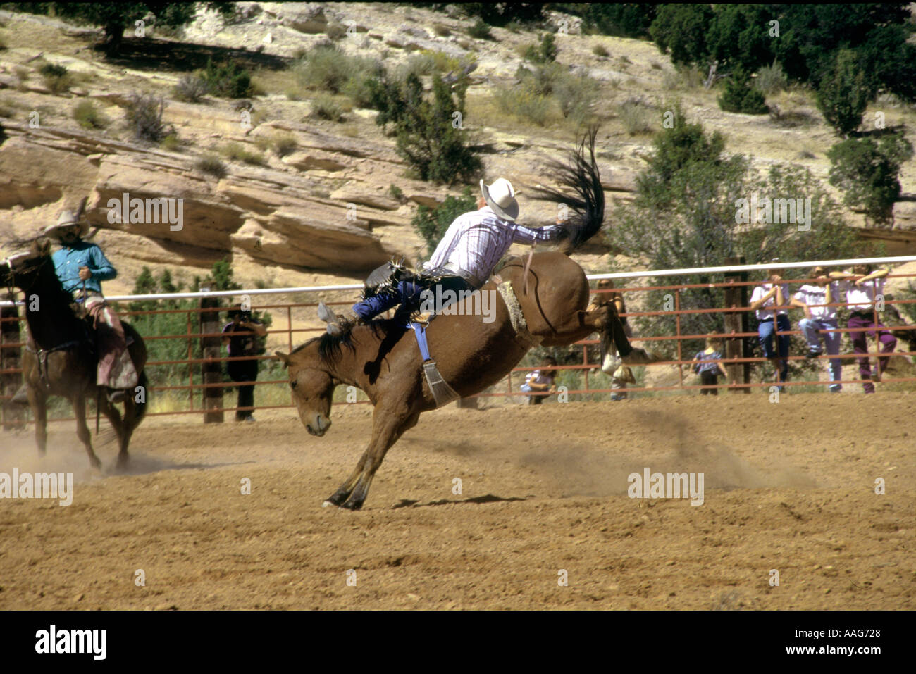 Rodeo Bronc Busting Stock Photo - Alamy