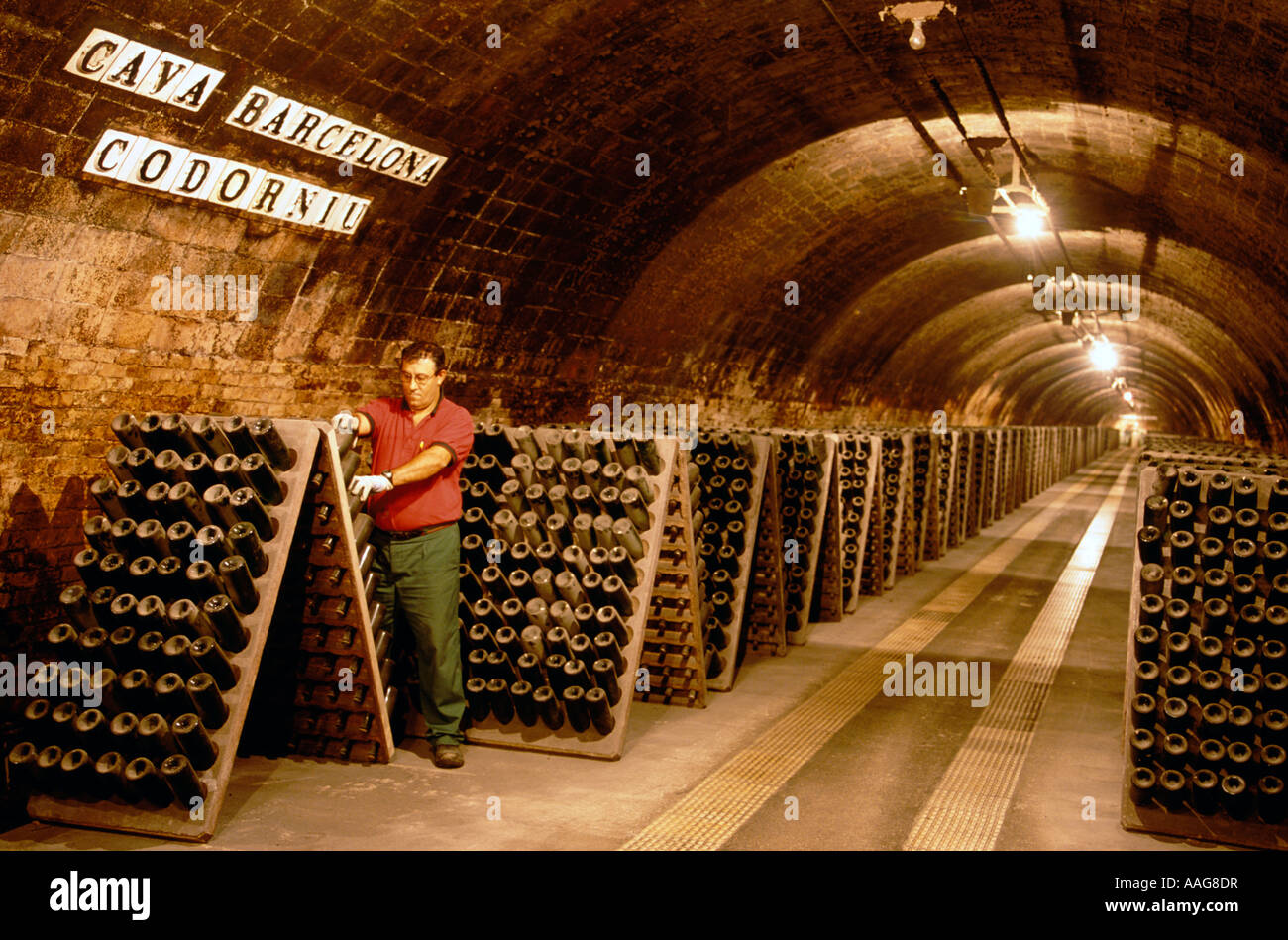 Anola hi-res stock photography and images - Alamy