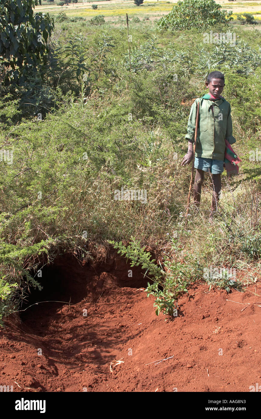 Boy With Python High Resolution Stock Photography and Images - Alamy