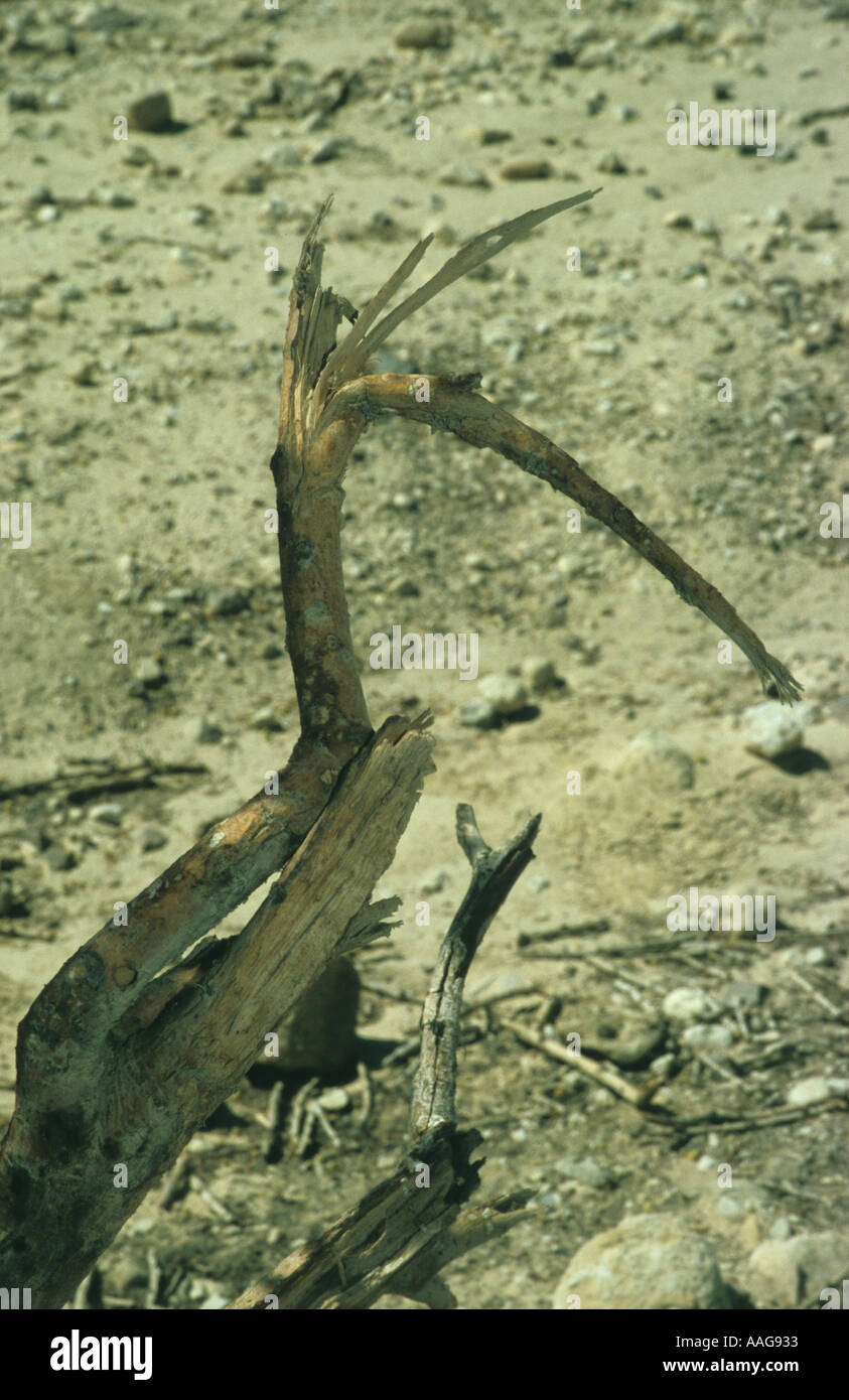 Desert Sculpture 10 Stock Photo - Alamy